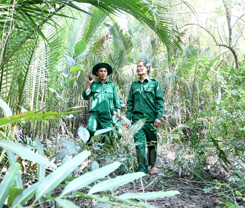 Xuân ở rừng đước Cần Giờ