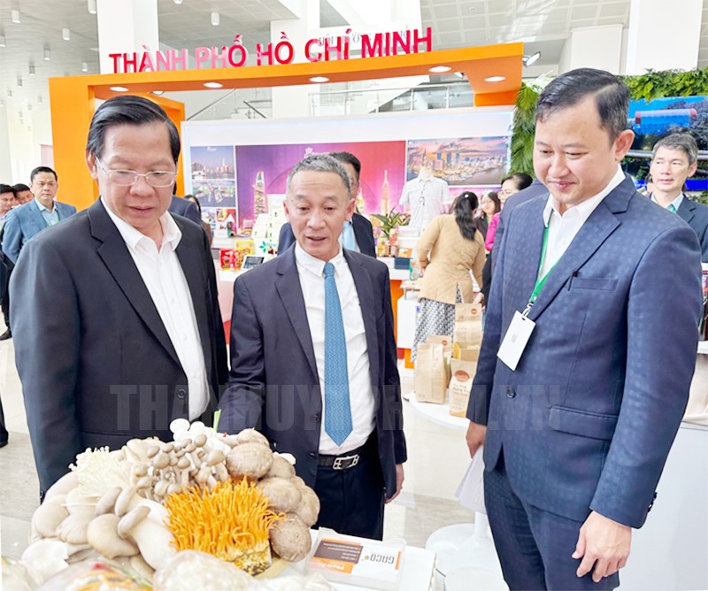 TPHCM và các tỉnh Tây Nguyên ký kết hợp tác phát triển kinh tế - xã hội