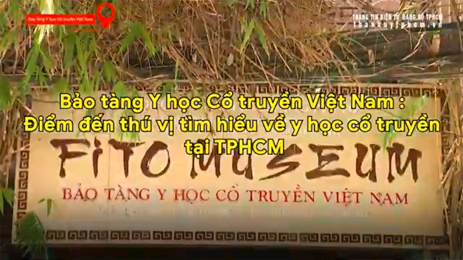 [Video] Bảo tàng Y học cổ truyền Việt Nam: Điểm đến thú vị tìm hiểu về ...